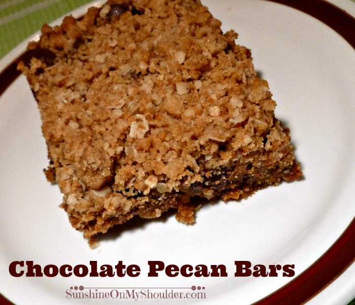 Solar Chocolate Pecan Bars Solar Cooking Dessert Recipe